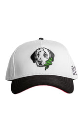 Productos – Mtycaps